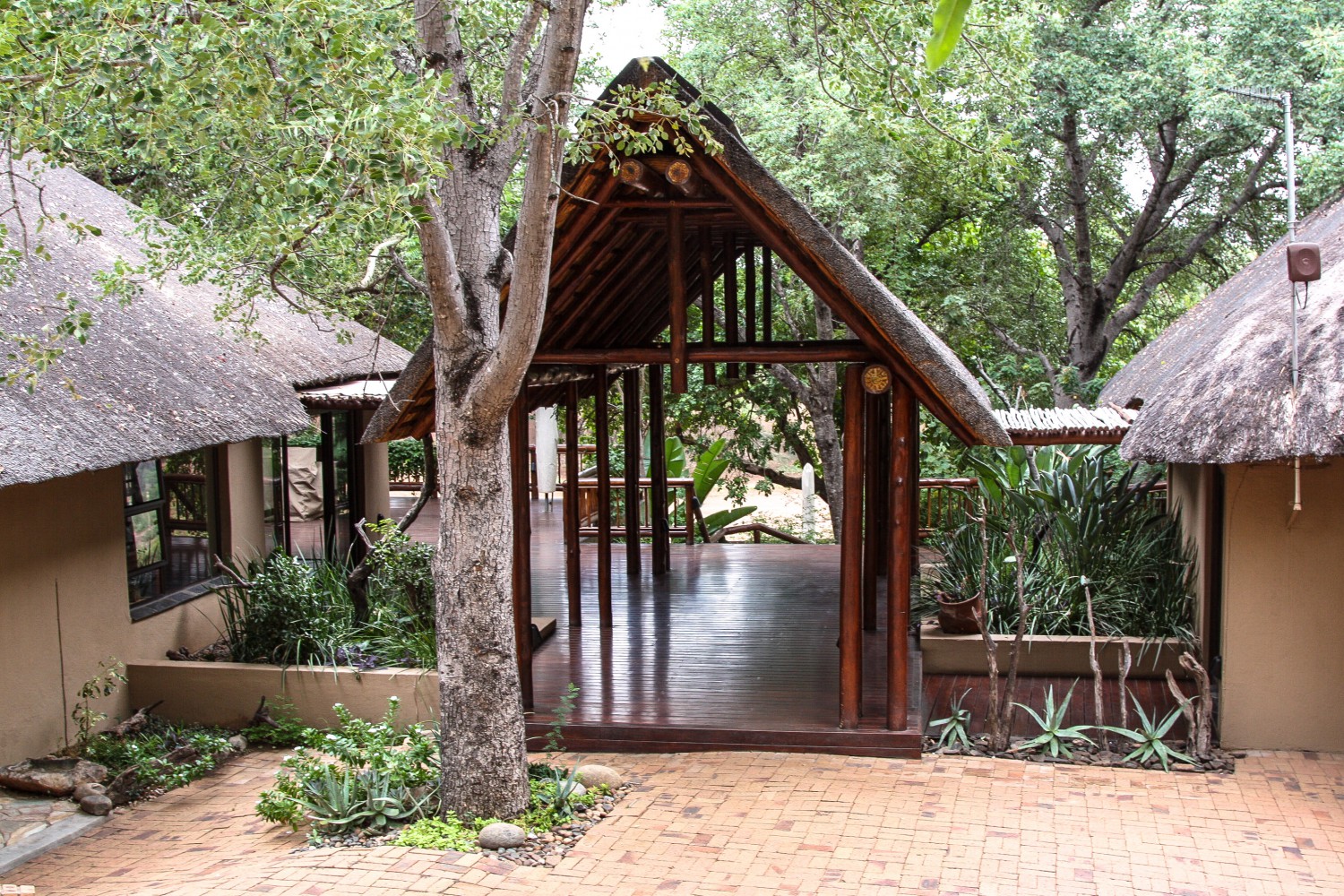 Interview mit KLM-Pilot Wil Jaski | WOLKENWEIT