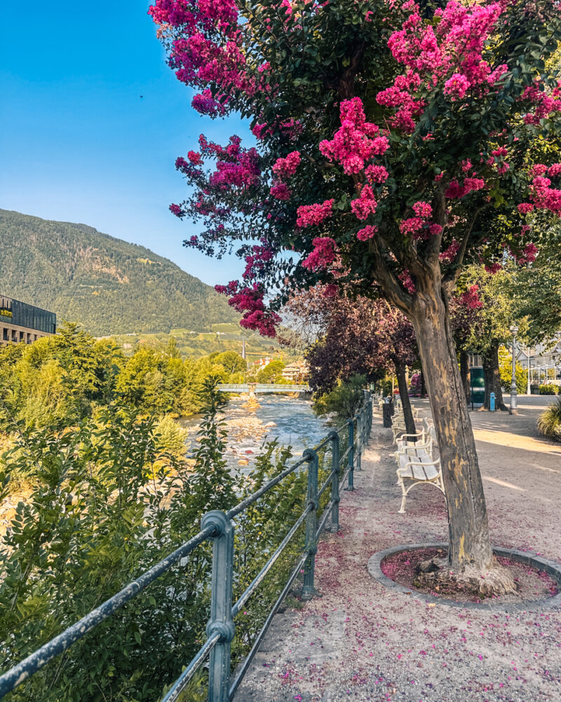 Meran Tipps – 15 Highlights, Sehenswürdigkeiten & Lieblingsplätze